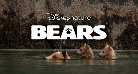 Disney Movie Review – Bears | Disney World Enthusiast