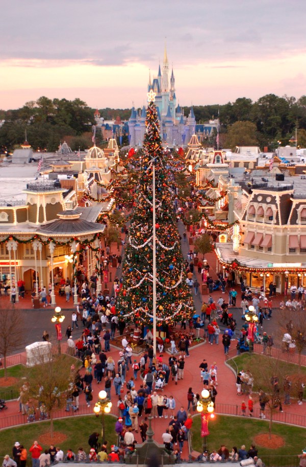 Tuesday Trivia – Magic Kingdom Christmas Tree | Disney World Enthusiast