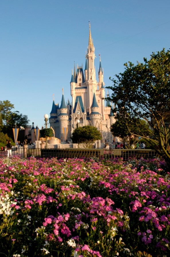 Helpful Information For Your March 2015 Disney World Vacation | Disney ...