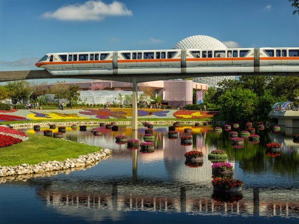 Helpful Information For Your May 2020 Disney World Vacation | Disney ...