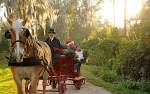 Take A Holiday Sleigh Ride At Disney World | Disney World Enthusiast